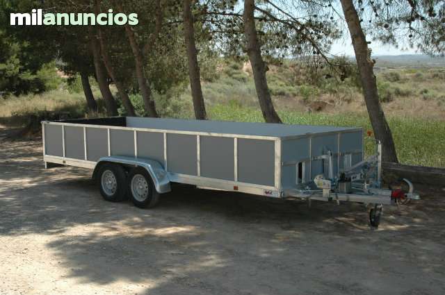 Mil Anuncios Com Remolques Carga General