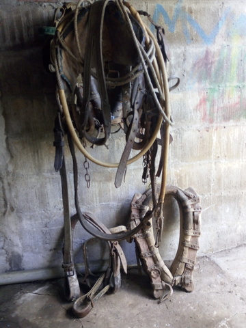 MIL ANUNCIOS.COM - Aparejos