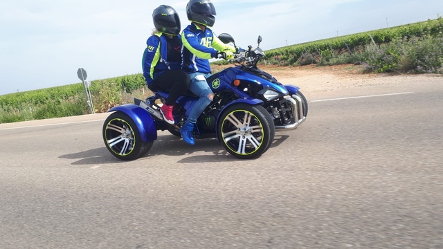 MIL ANUNCIOS.COM - Spy racing F 3 , 350 cc