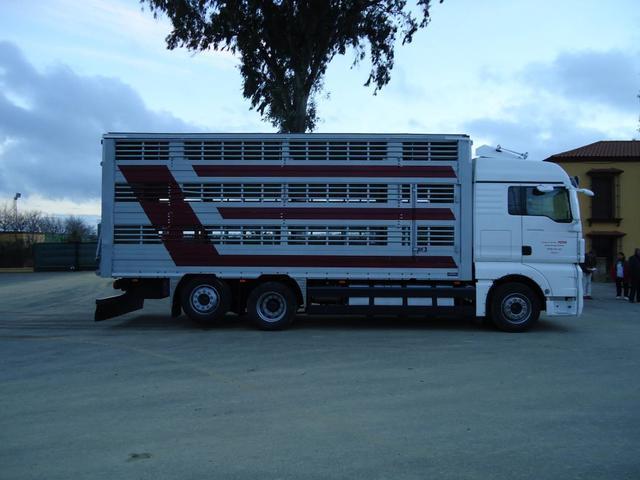 MIL ANUNCIOS.COM - Camion ganadero man TGX 26 480 MIL ANUNCIOS.COM - Camion ganadero man TGX 26 480