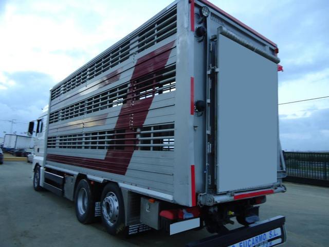 MIL ANUNCIOS.COM - Camion ganadero man TGX 26 480 MIL ANUNCIOS.COM - Camion ganadero man TGX 26 480