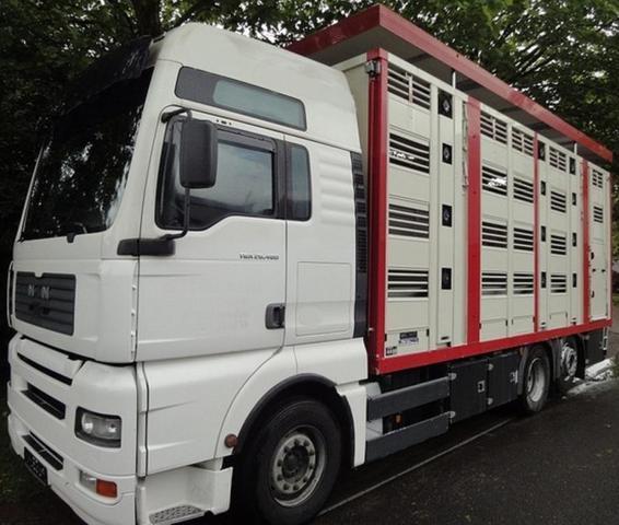 MIL ANUNCIOS.COM - Camion ganadero man TGA 26 460 MIL ANUNCIOS.COM - Camion ganadero man TGA 26 460