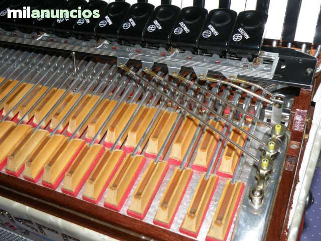 MIL ANUNCIOS.COM - Acordeon polverini cassotto(MAGNIFICO120